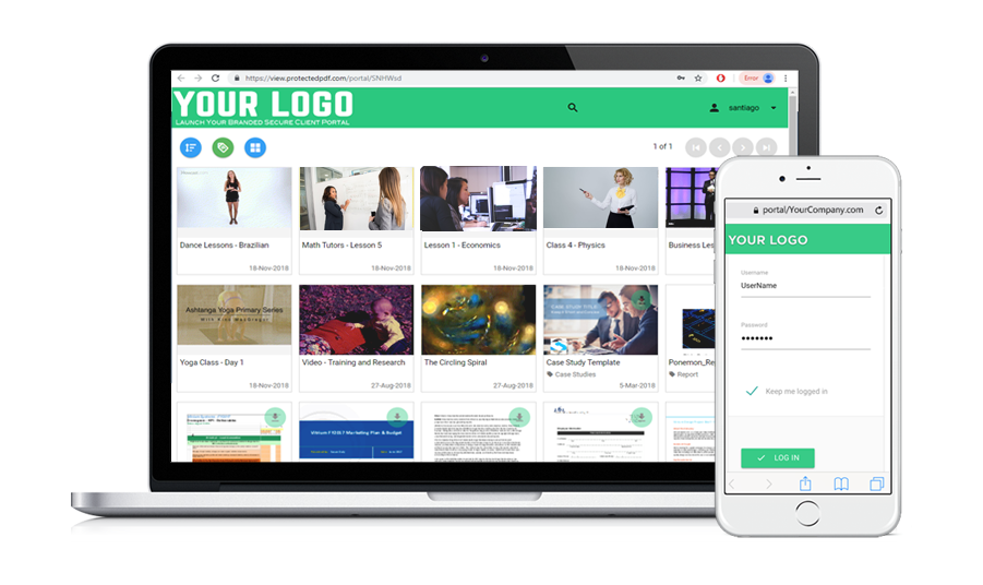 Do Not Distribute: Watermarks to Protect Documents