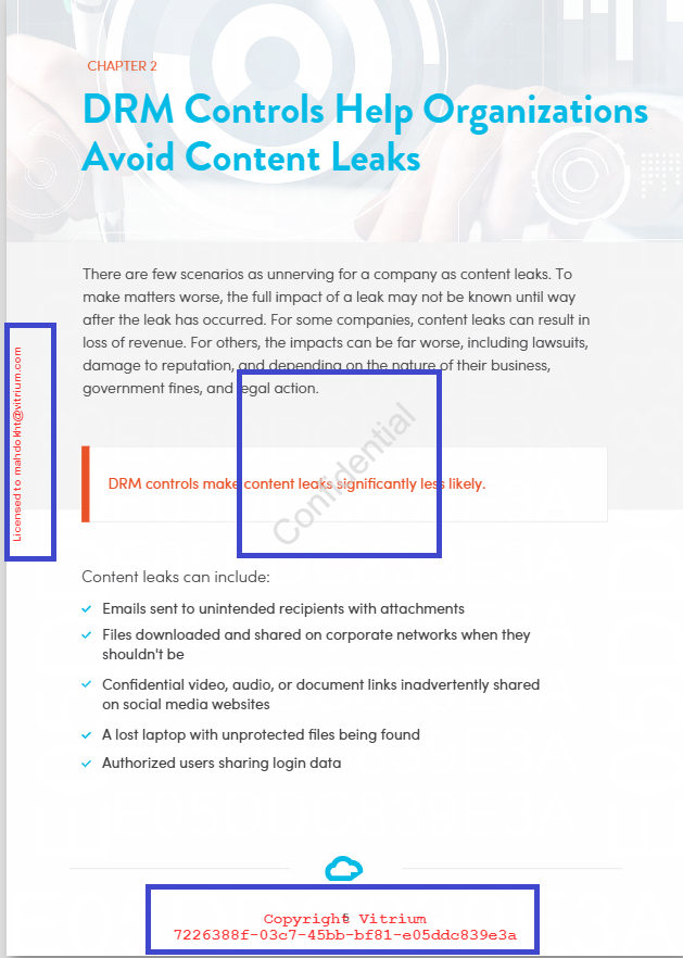 Overview of Vitrium’s Digital Watermarks