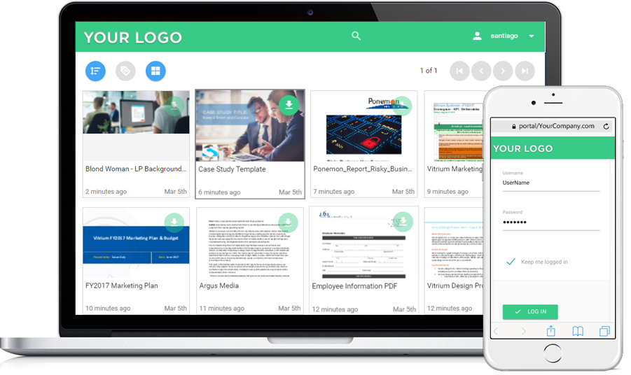 Launch a Secure Client Portal for Protected Files
